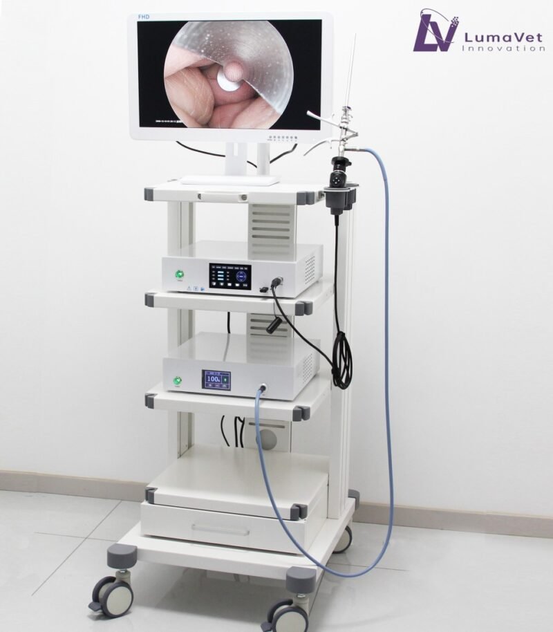 UHD veterinary endoscope camera for nose/arthroscopy/hysteroscopy/spine ...